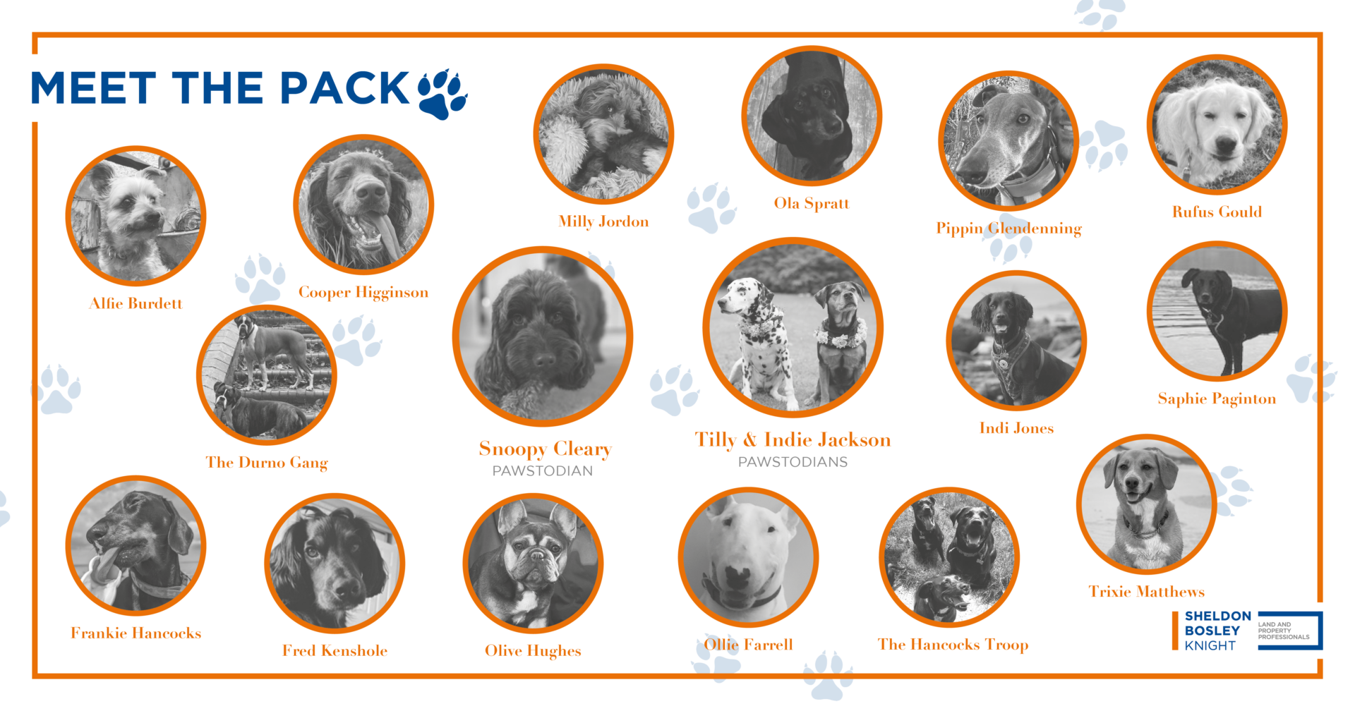 Leader of the pack - Sheldon Bosley Knight Estate Agents